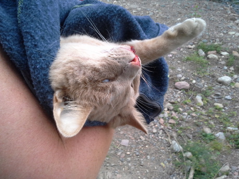 Senk farten i Segmon og i hele Grums kommun! - Skrivunder.com